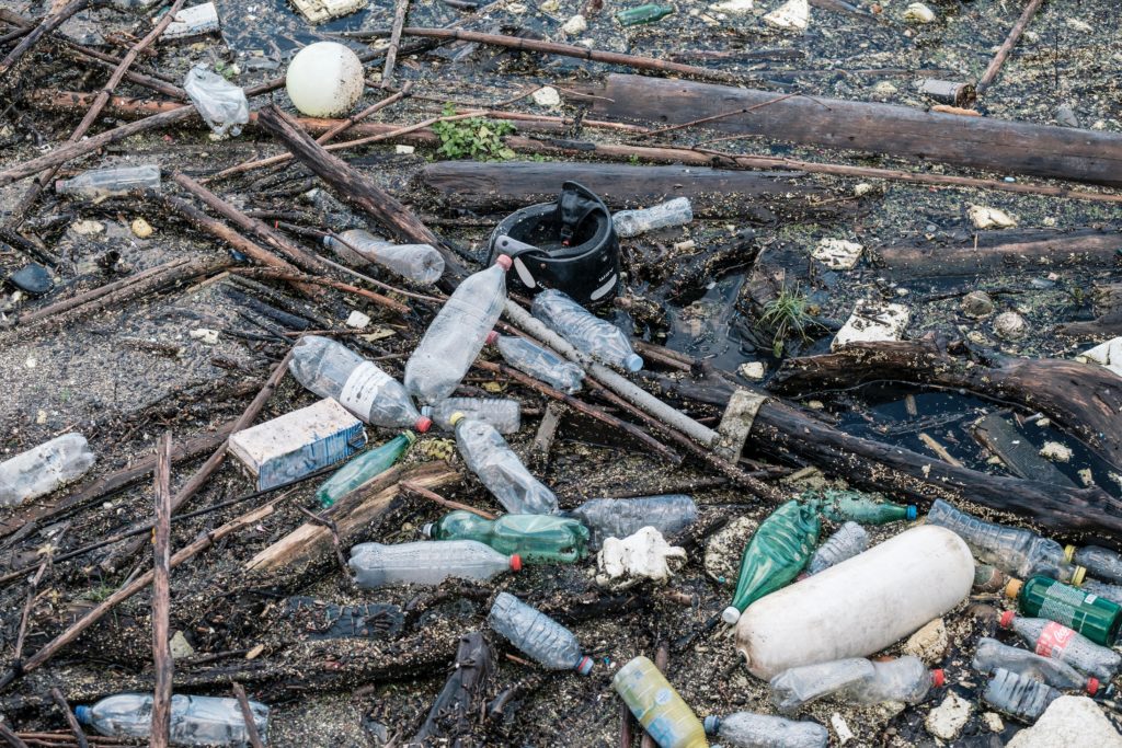 Campaign Shows the Sad Consequences of Plastic Pollution on Marine Life ...
