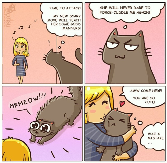 "Catsu The Cat" is a Funny Comics About a Cat Named Dita - Our Funny ...