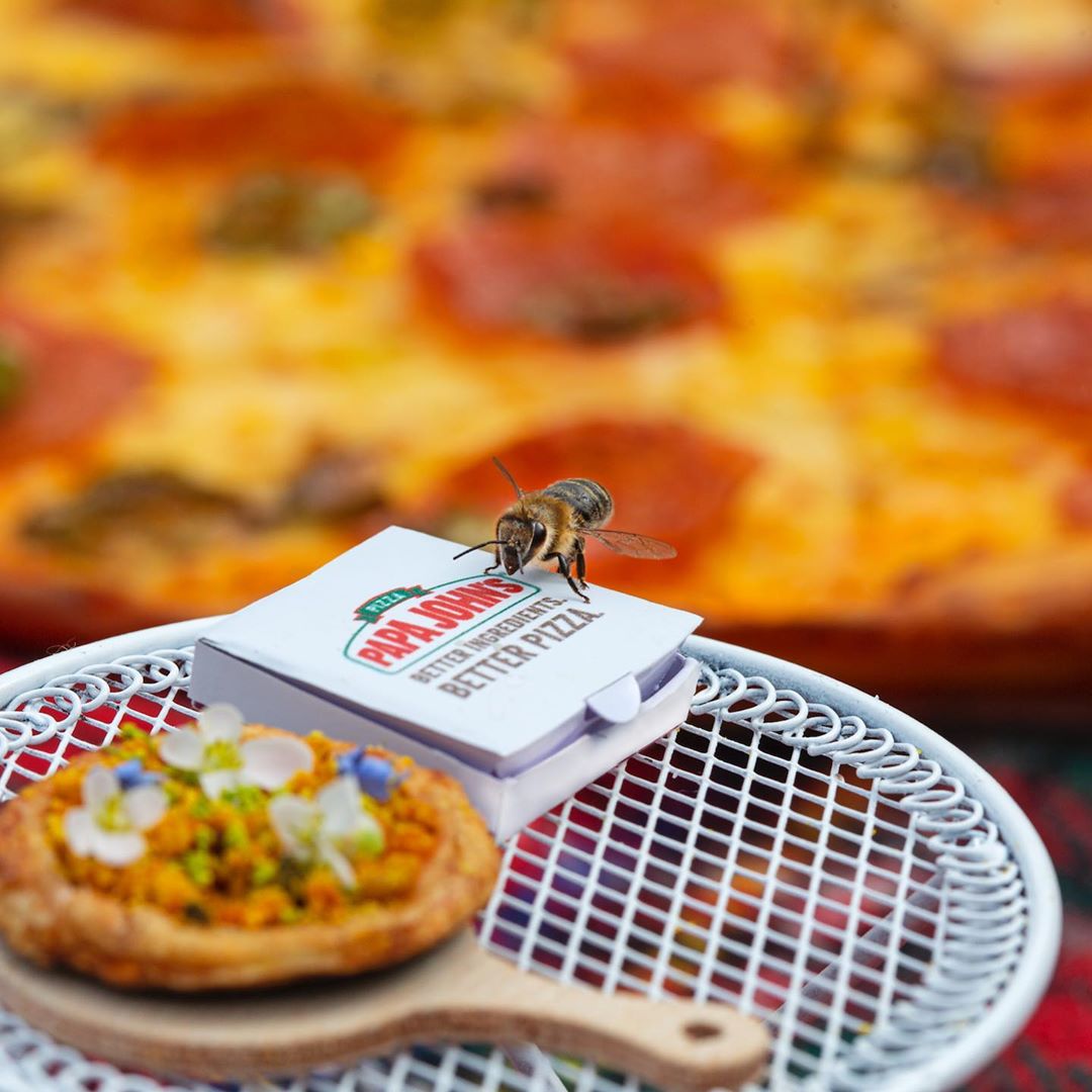 Papa John’s Created Tiny Pizzas For Bees - Our Funny Little Site