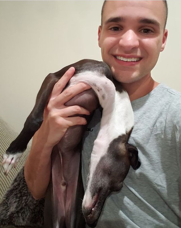 3-Legged Greyhound and Owner Take Hilarious Selfies - Our Funny Little Site