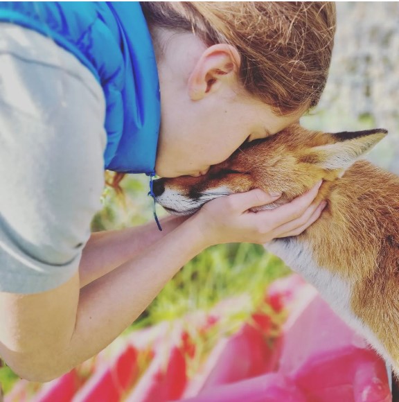 Rescue Fox Develops a Strong Bond With 11-Old Girl After Family Farm ...