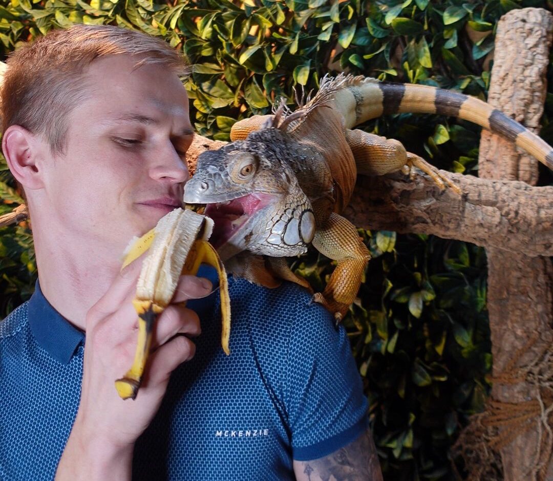 Kristaps Sils is Sharing Hilarious Videos With His Lizard Buddy - Our ...