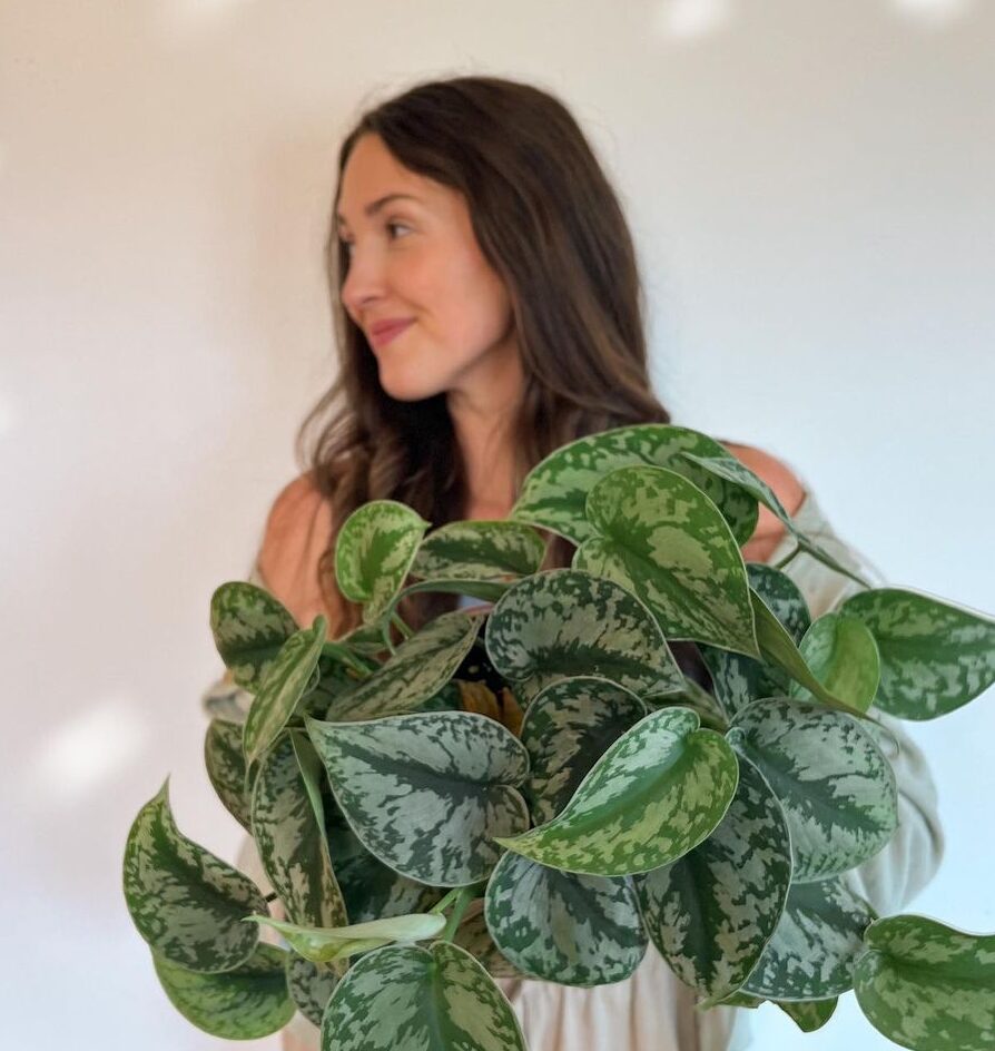 Devan Carter’s Boho Home Wouldn’t Be the Same Without Houseplants - Our ...