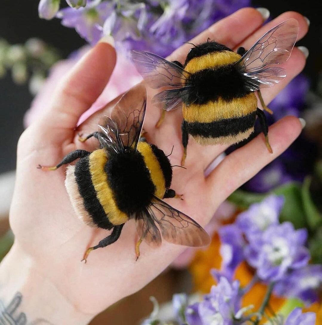 Emily Jane Yeadon’s Textile Insects Have To Be Seen To Be Believed ...