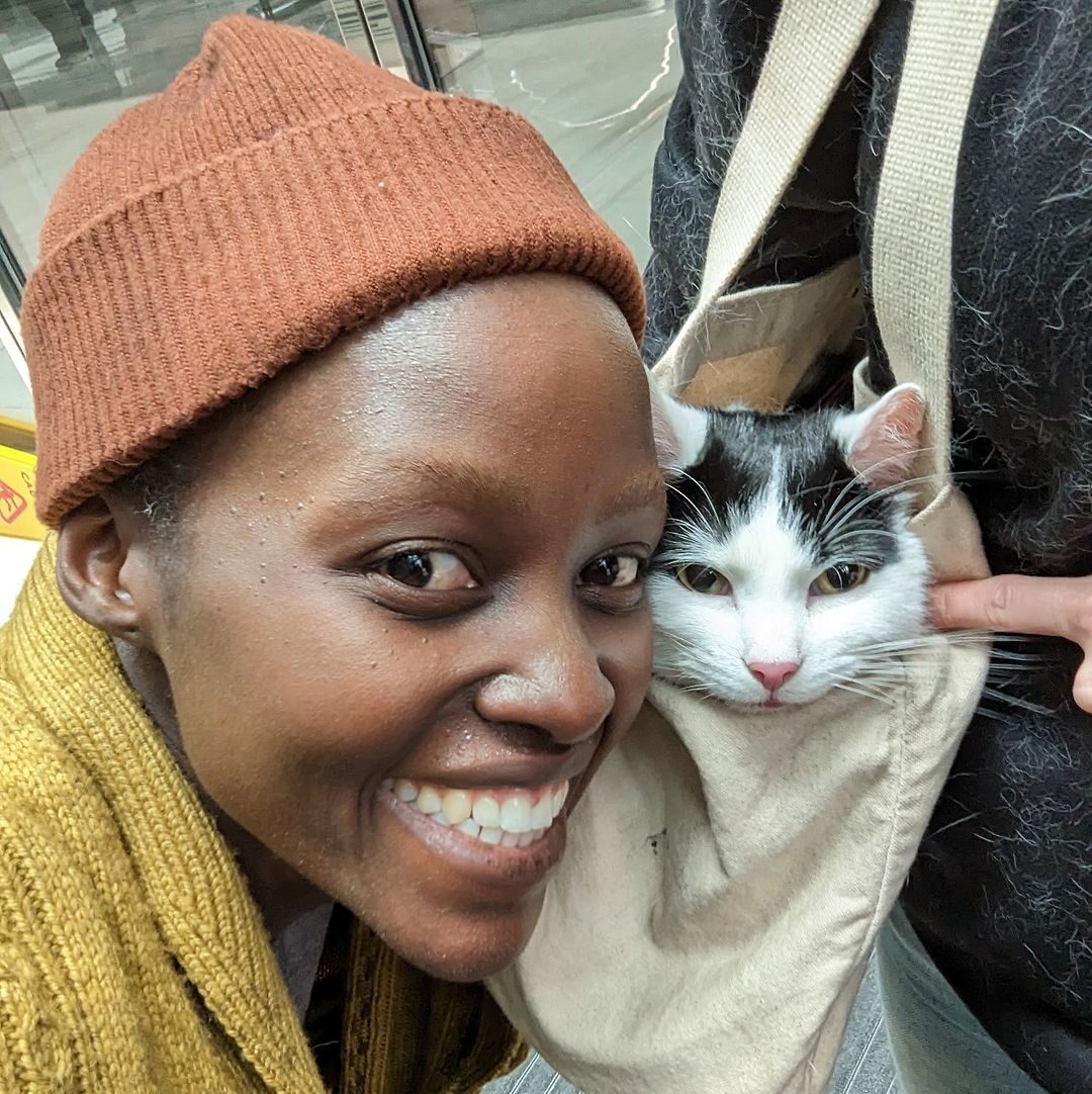 Meet Nico and Schnitzel, Adorable Cats From “A Quiet Place: Day One ...