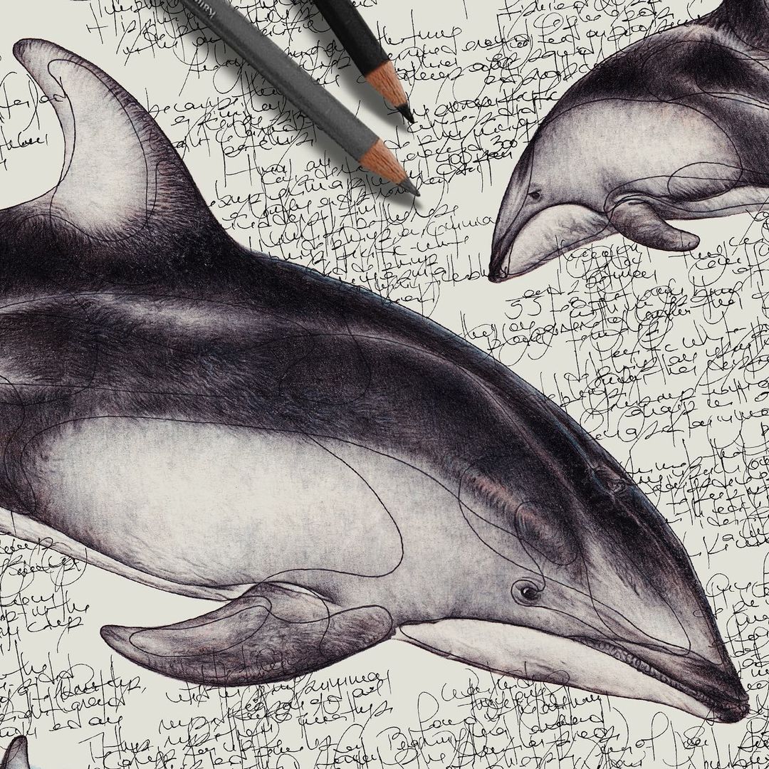 Vitor Velez is Capturing the Diversity of the Ocean World Through His ...